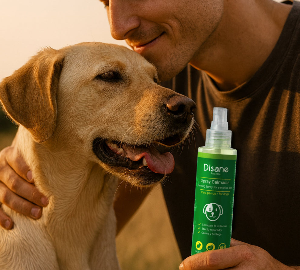 Disane pet care